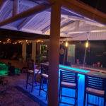 Whale Tail Glass Table by Downing Designs. - Downing Designs